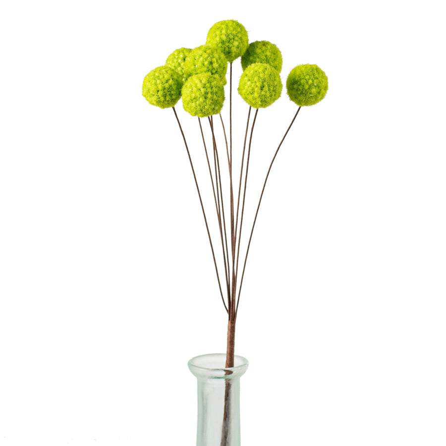 16" Billy Ball Bunch: Fresh Green