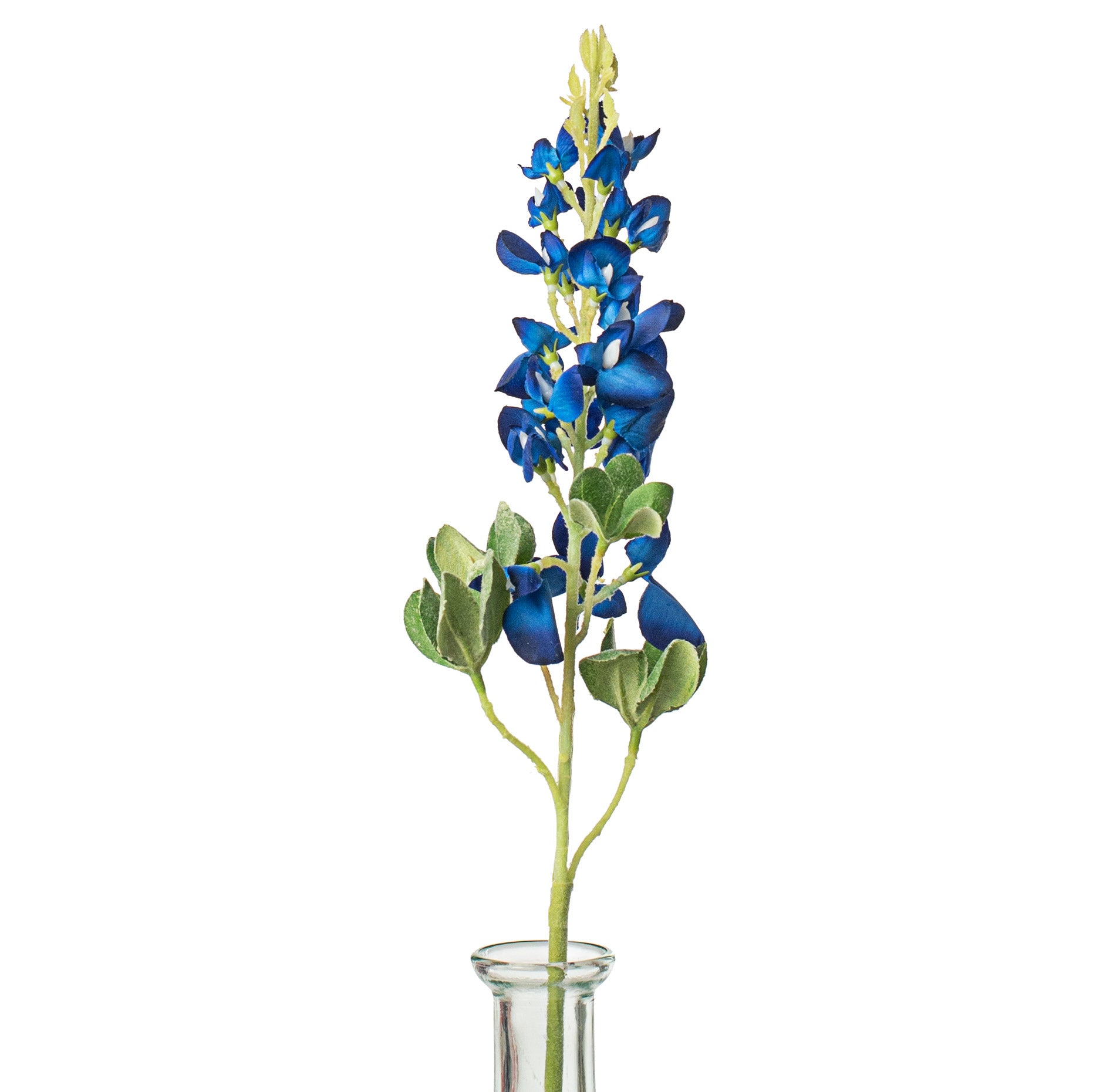 18" Bluebonnet Stem