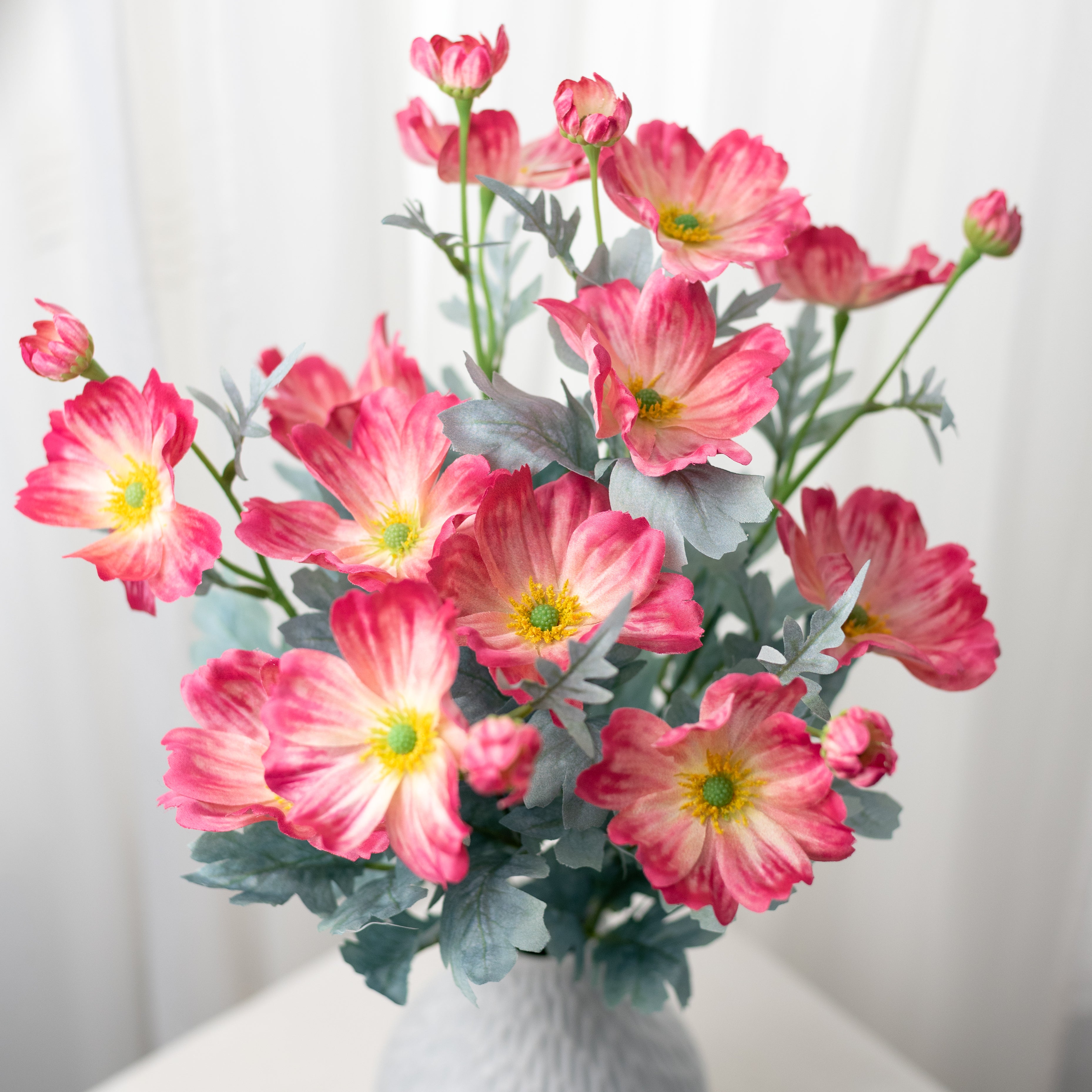 22" Cosmos Bush: Hot Pink (12 Stem)