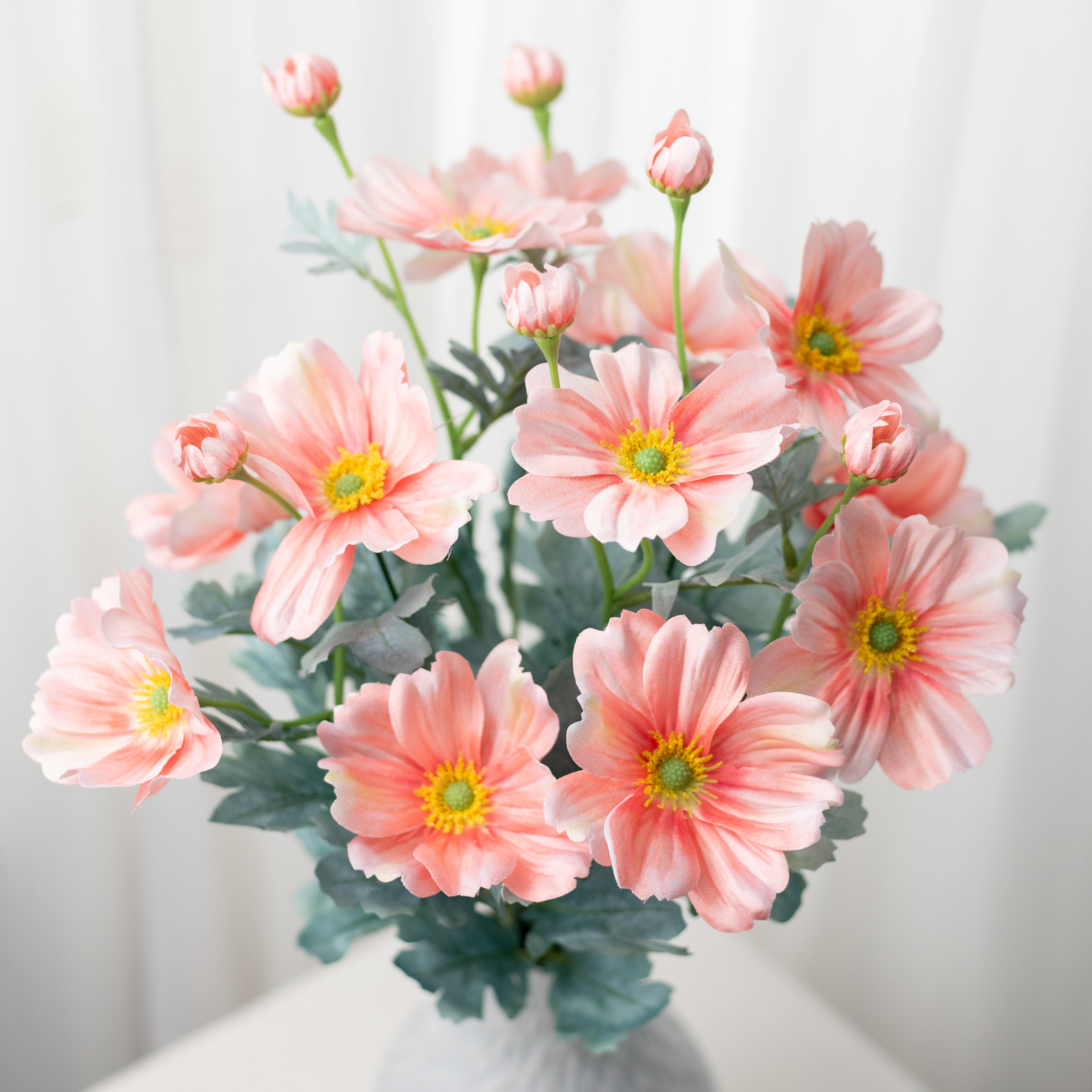 22" Cosmos Bush: Peach Pink (12 Stem)