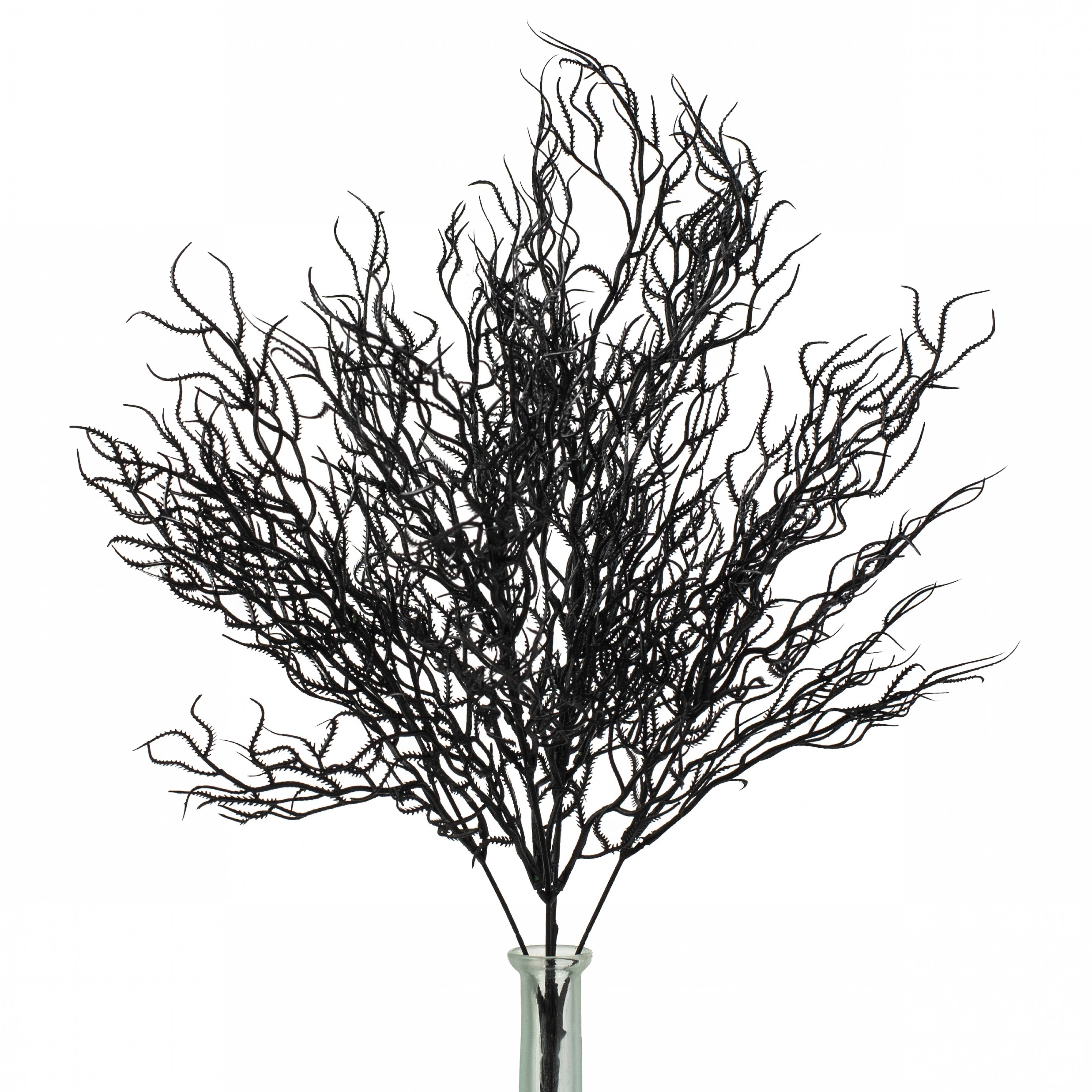 21" Cottonii Seaweed Bush: Black (5 Stem)