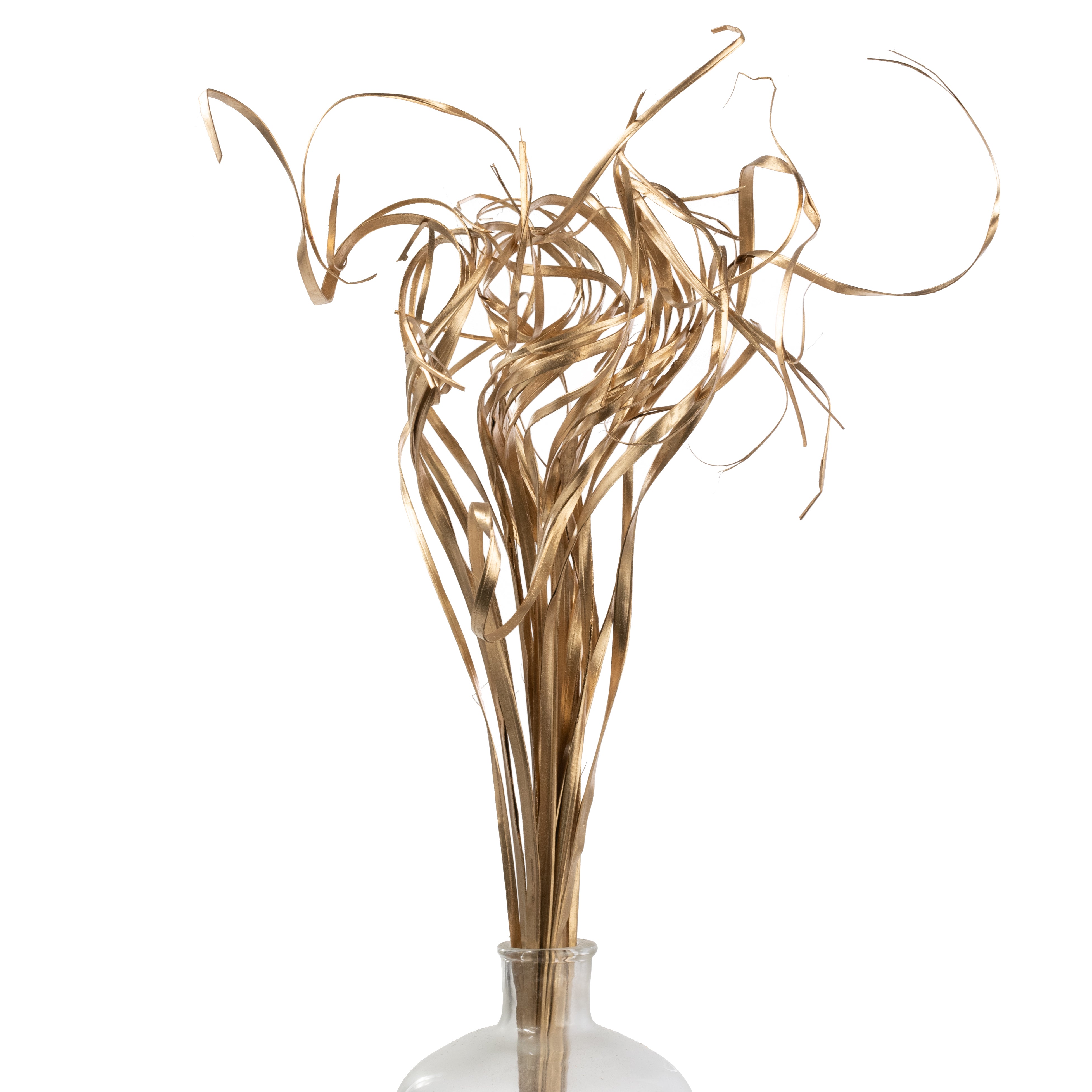 27" Curly Palmyra Palm Grass Bundle: Gold