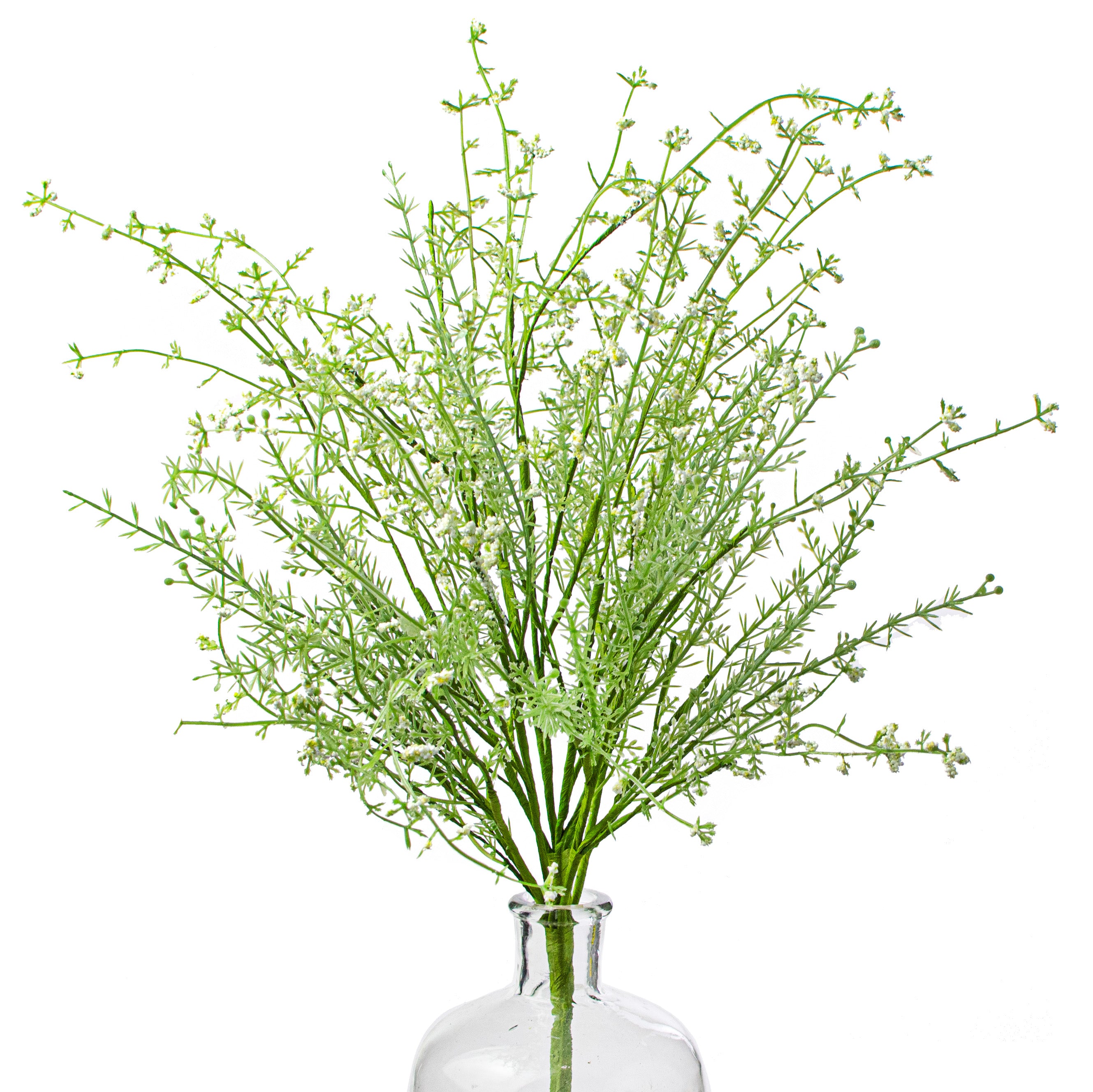 22" Filler Bush: Cream