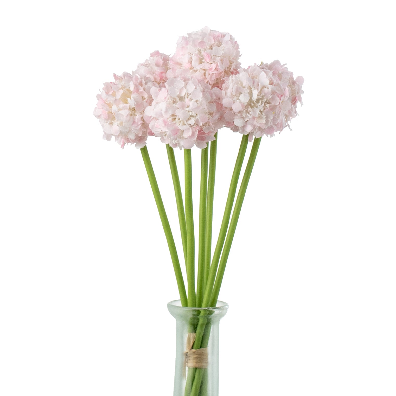 Floral Stems
