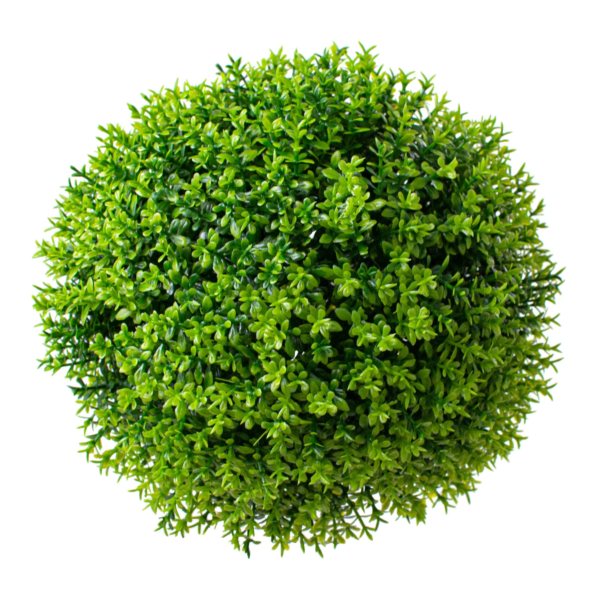 7" Green Thyme Ball