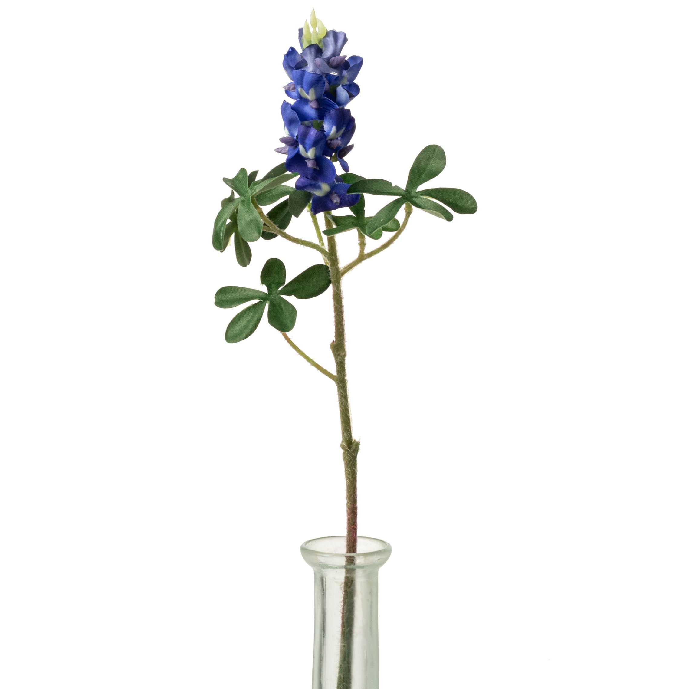 14" Bluebonnet Stem