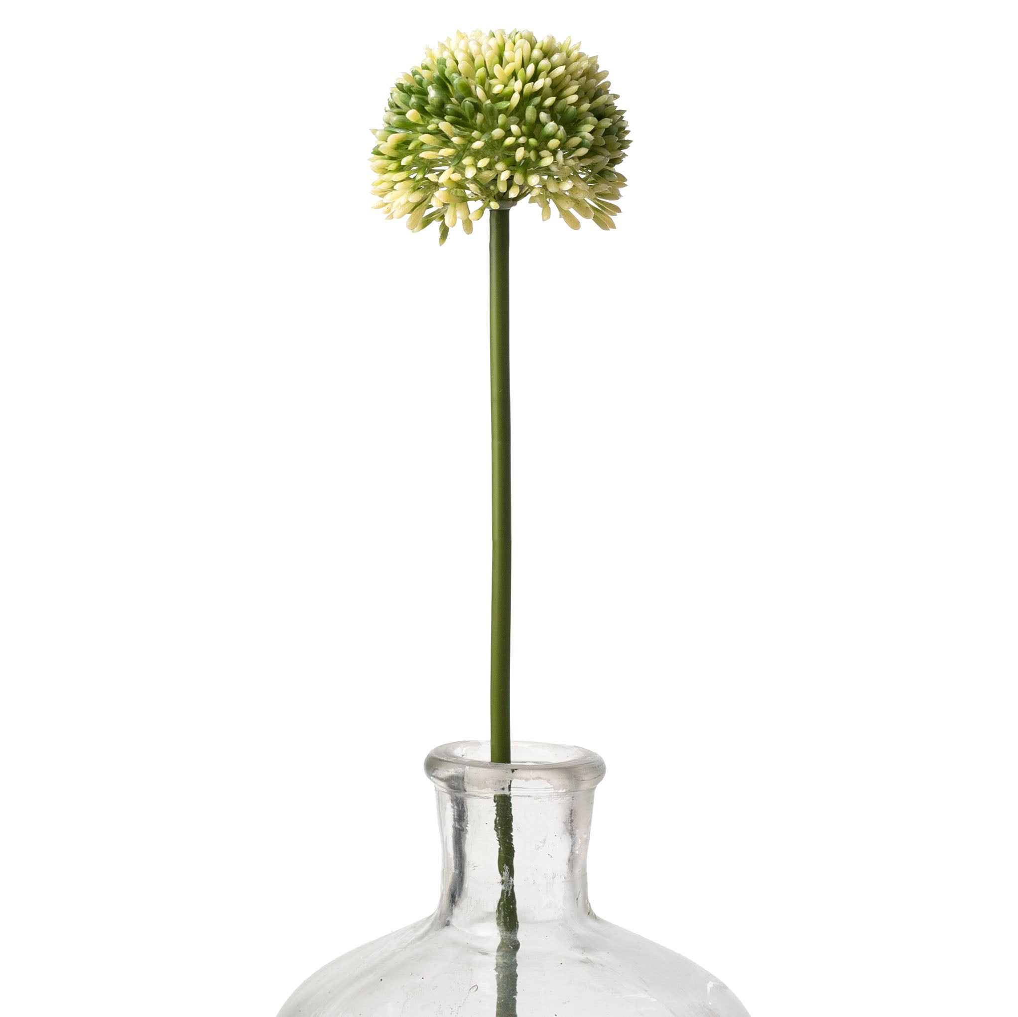 17" Allium Stem: Cream & Green