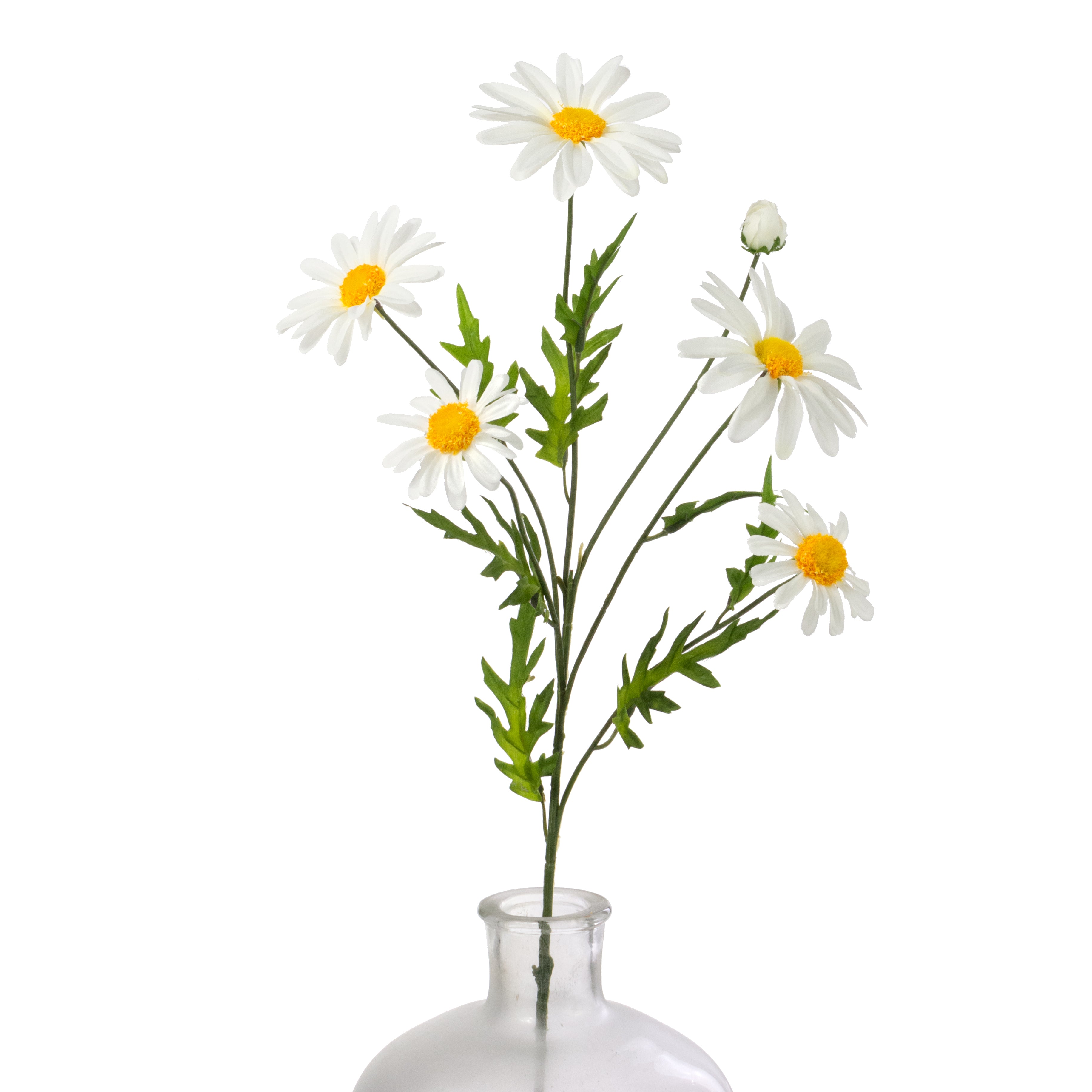 25" Daisy & Buds Spray x5: Cream White