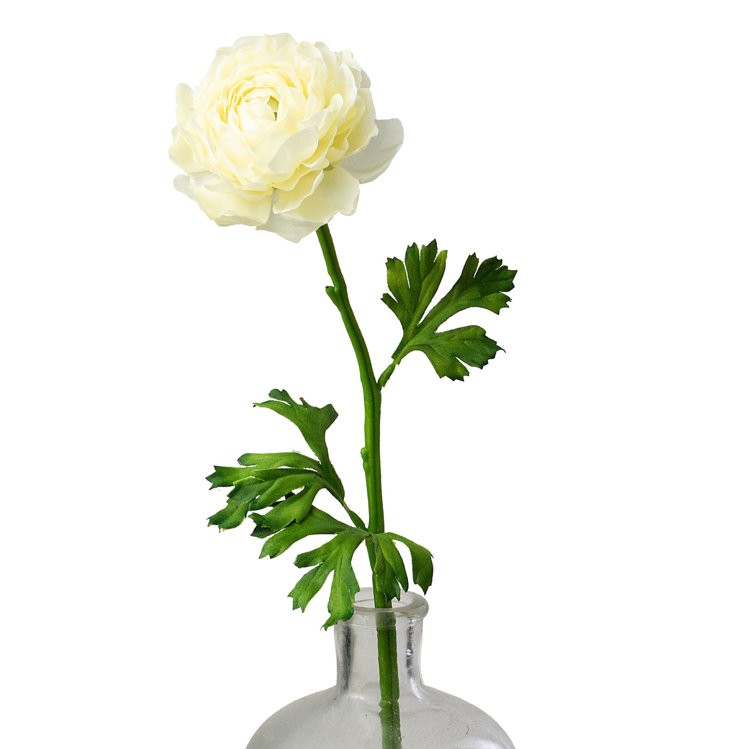 20" Ranunculus Stem: Cream