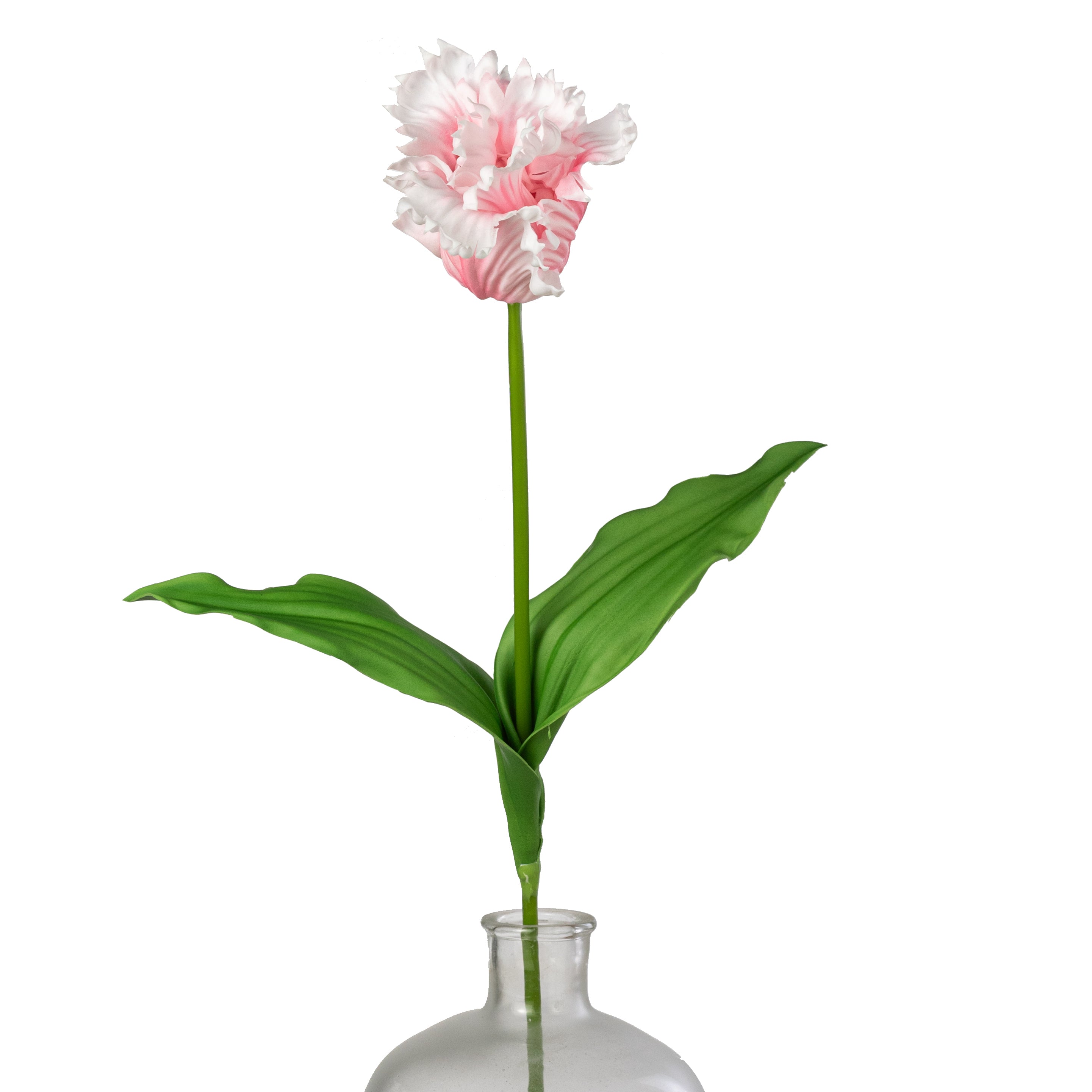 31" Parrot Tulip Stem: Light Pink