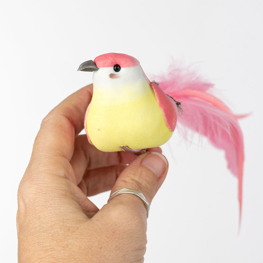 7" Feathered Spring Bird Clips: 3 Assorted (Box of 12)