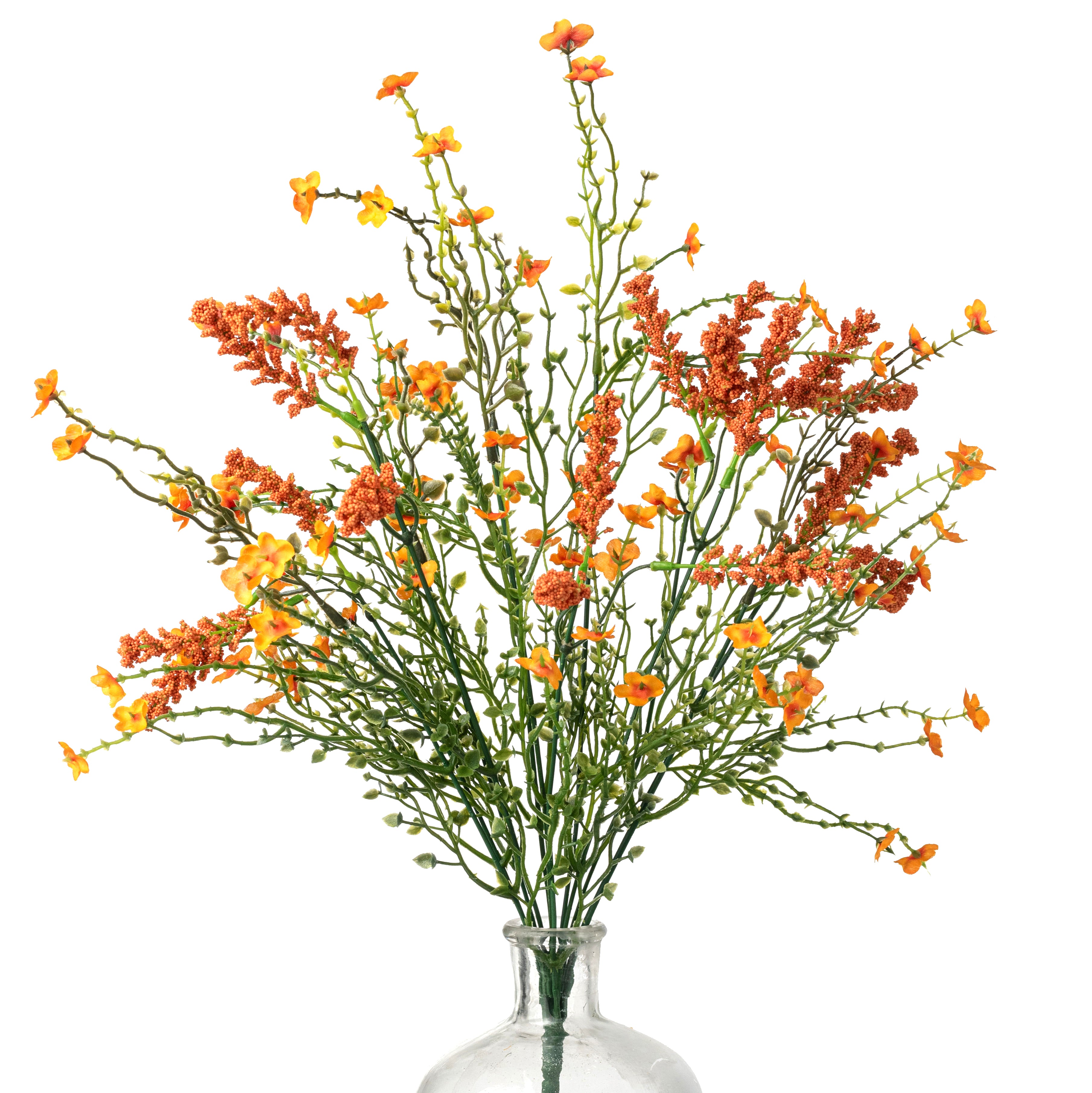 Floral Bushes– Page 4