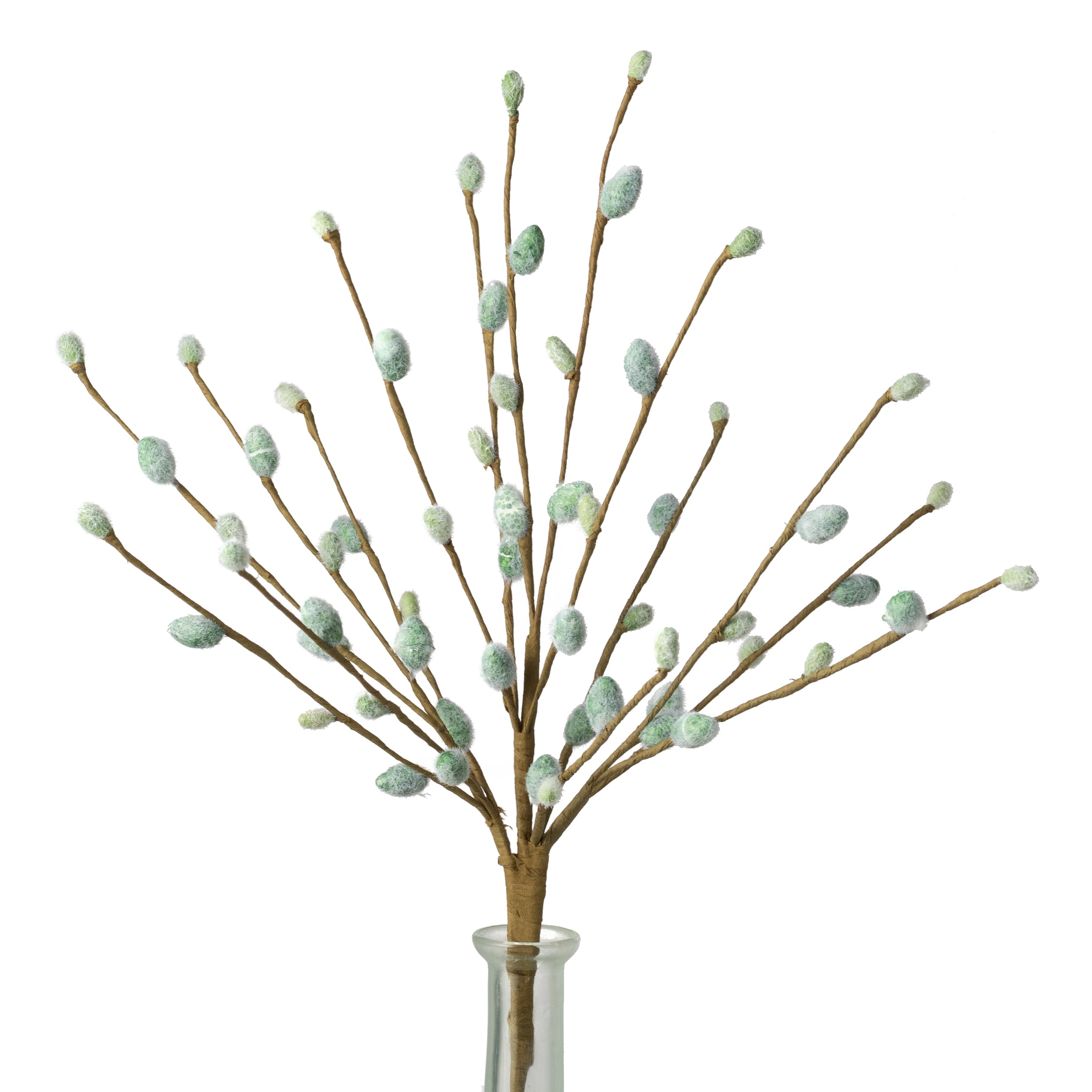 18" Pussy Willow Pick: Dusty Green