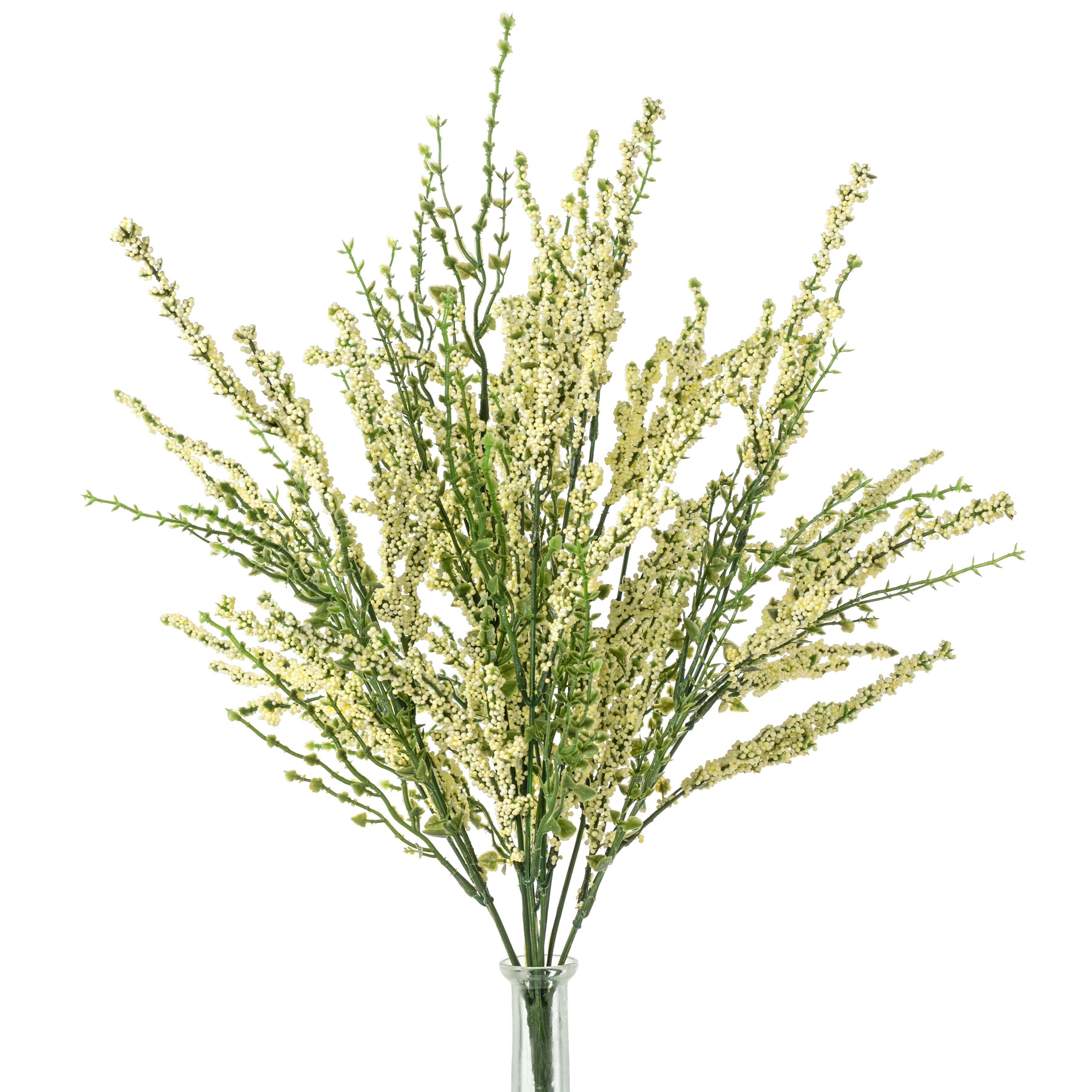 21" Erica Bush Seeded Heather: Cream (12 Stem)
