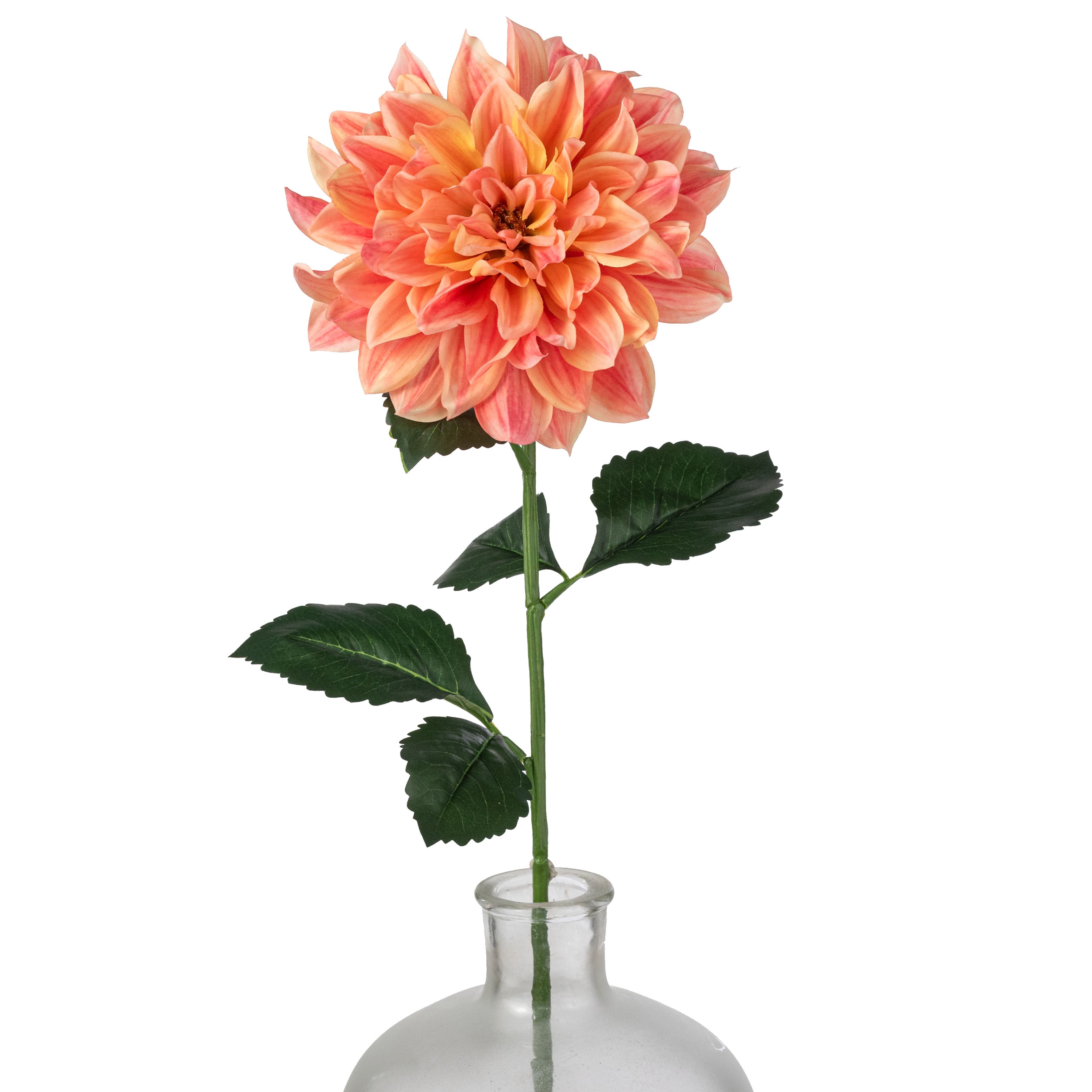 27" Dahlia Stem: Two Tone Coral