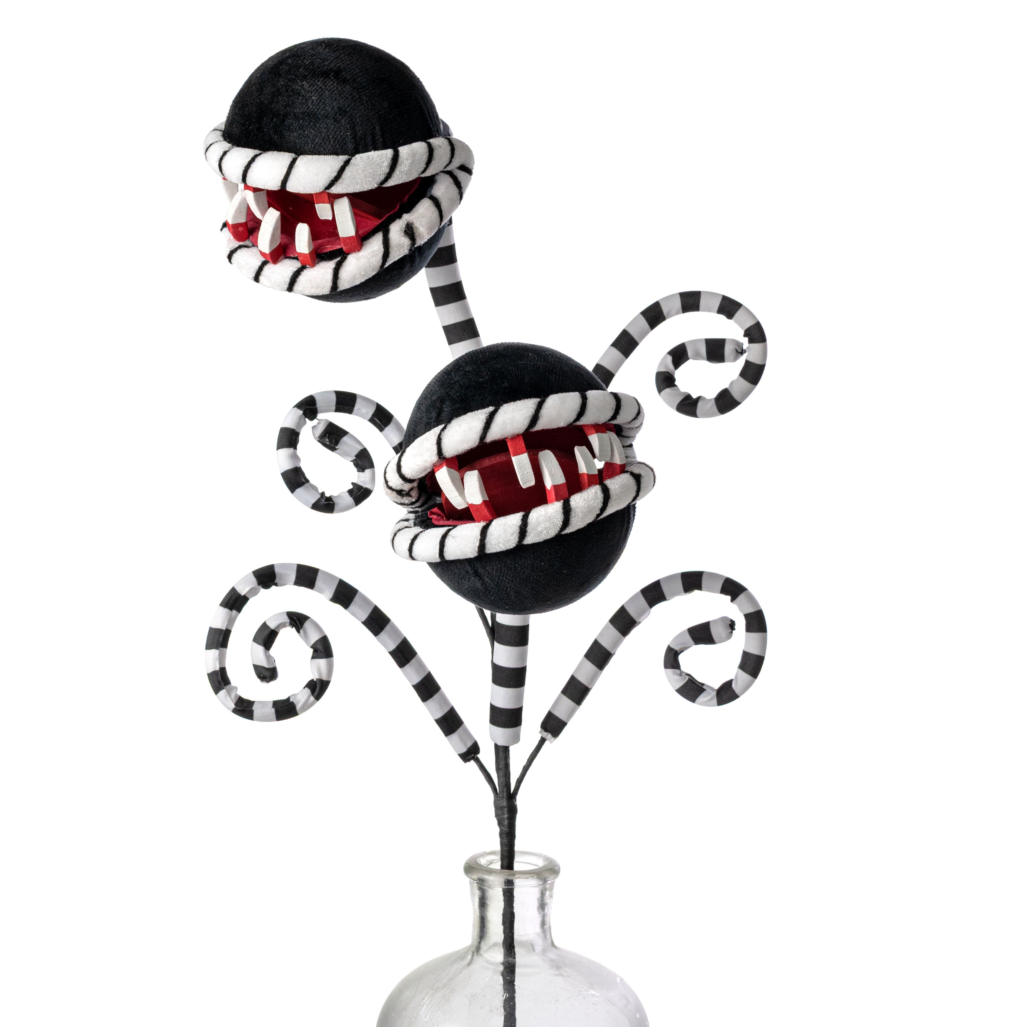 26" Venus Flytrap Curly Spray: Black & White