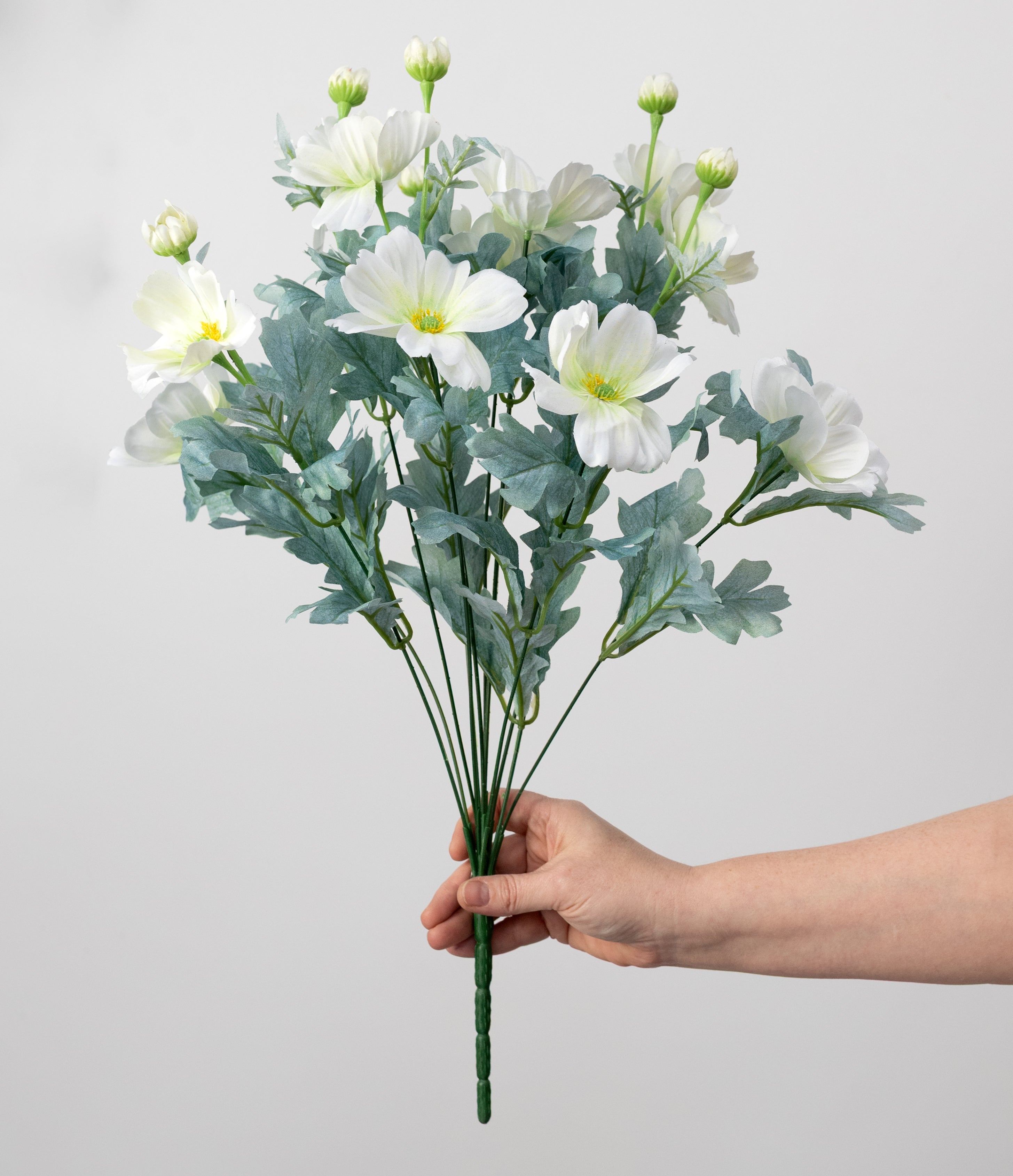 22" Cosmos Bush: Cream (12 Stem)