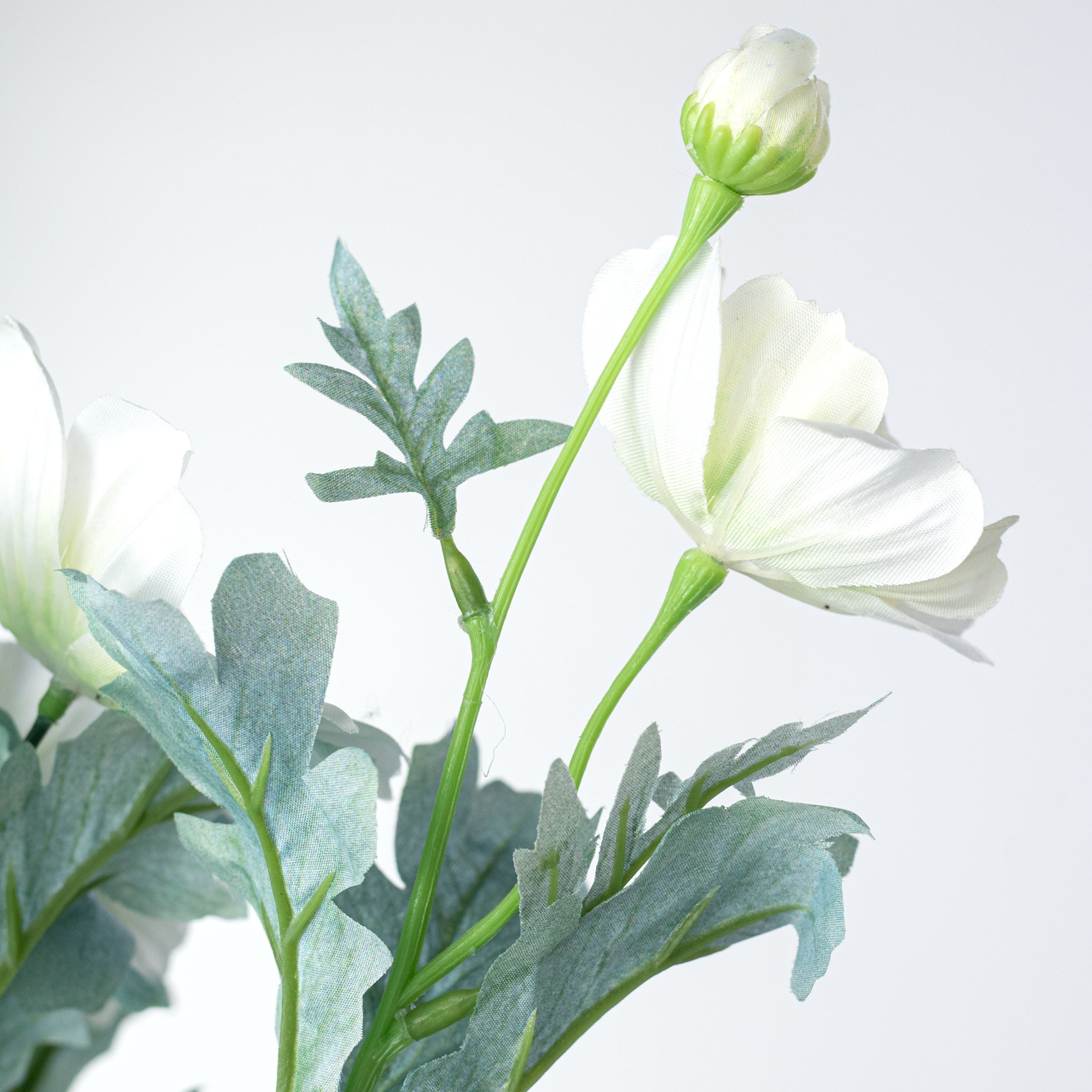 22" Cosmos Bush: Cream (12 Stem)