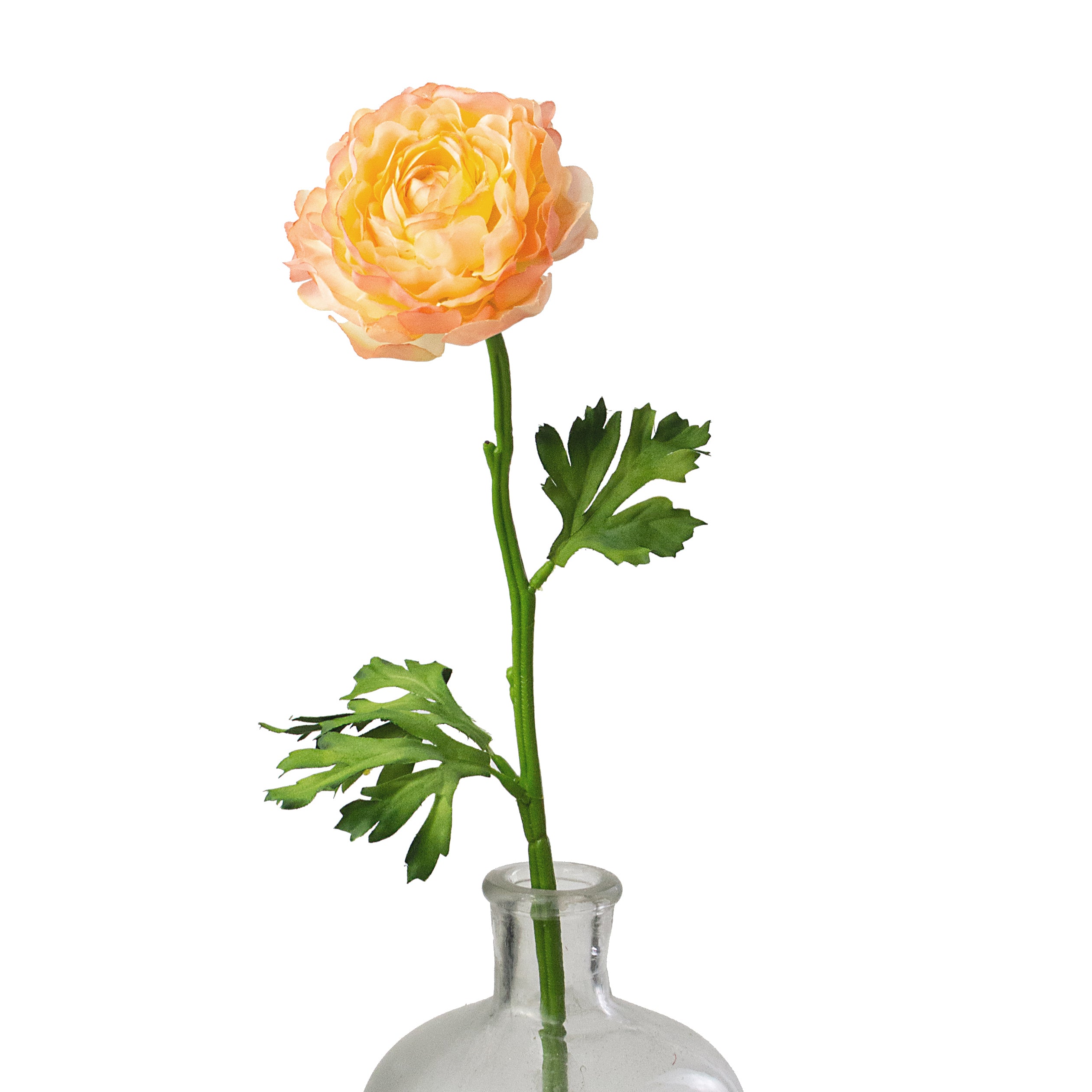 20" Ranunculus Stem: Peach Yellow