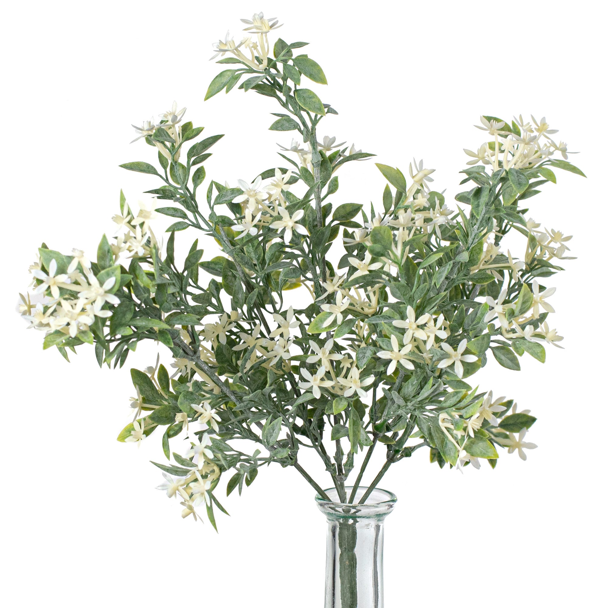 13" Mini Star Flower Bush: White