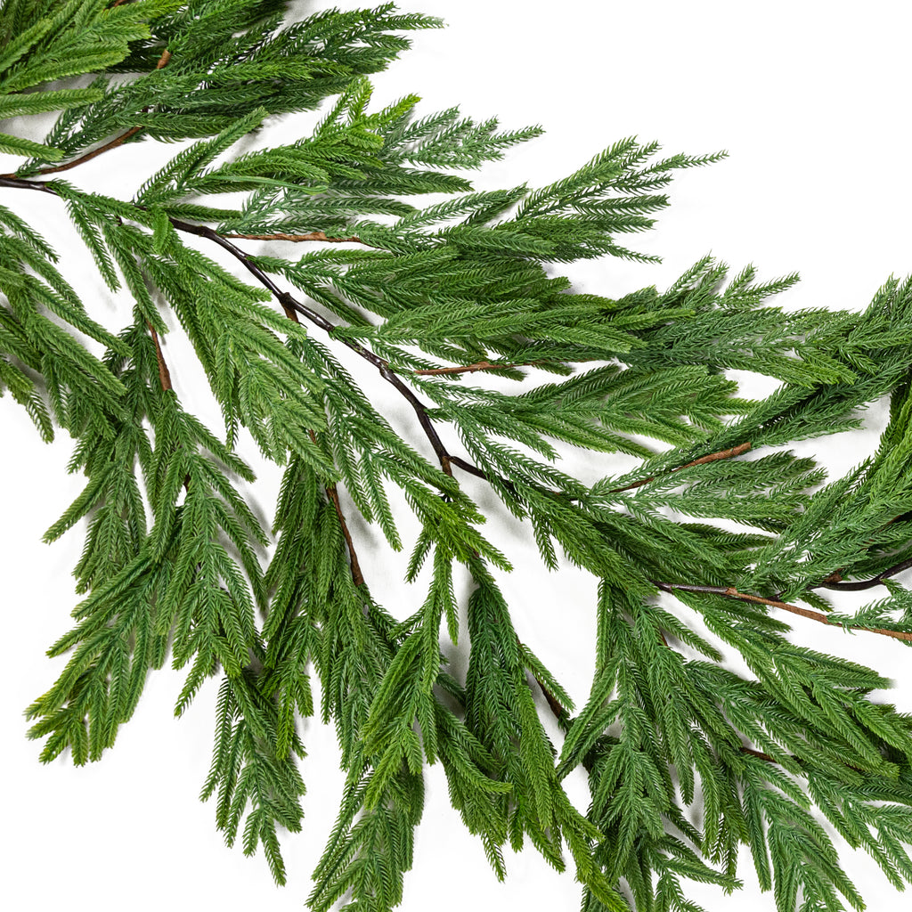 6' Norfolk Island Pine Hanging Garland