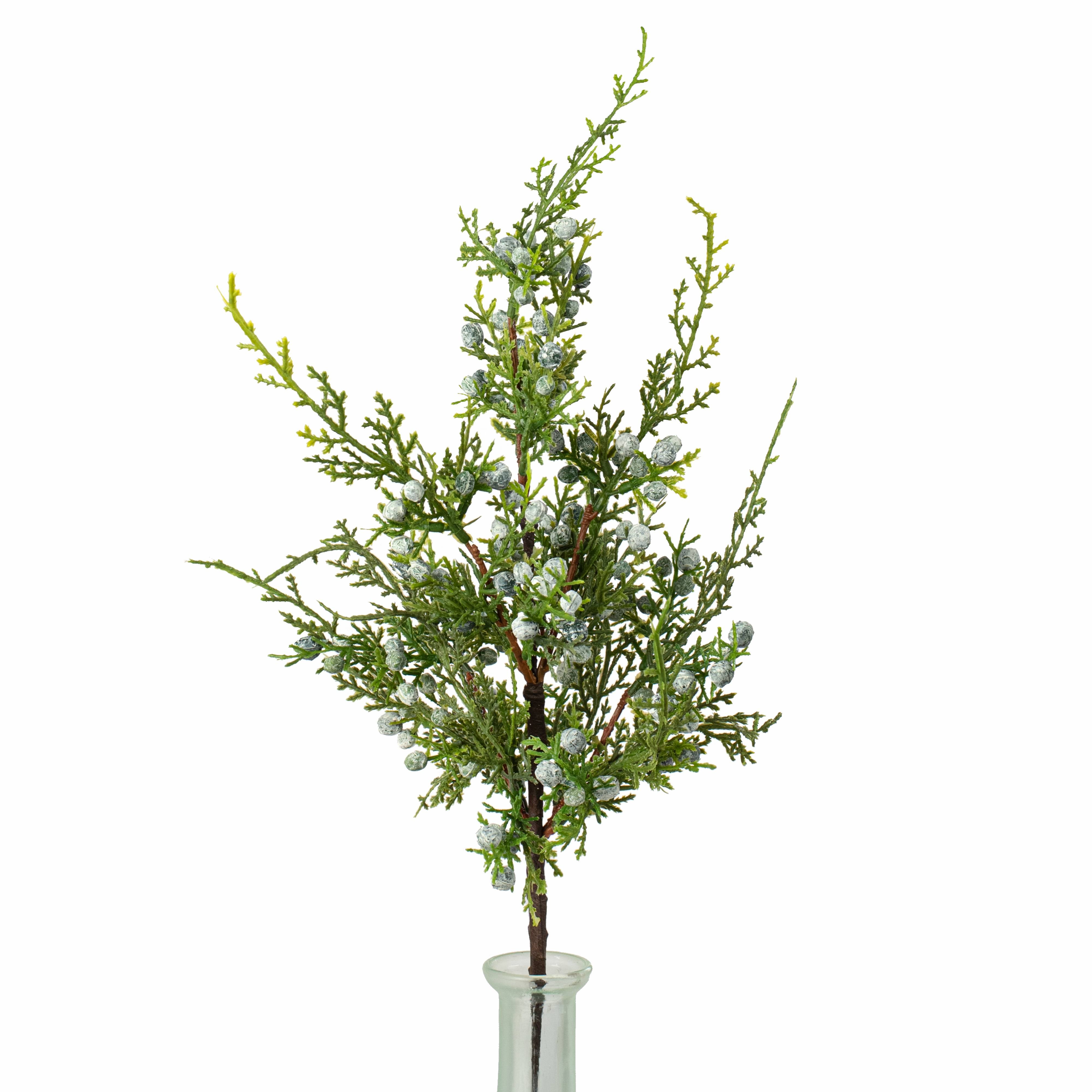 18" Oregon Juniper Spray: Two-Tone Green