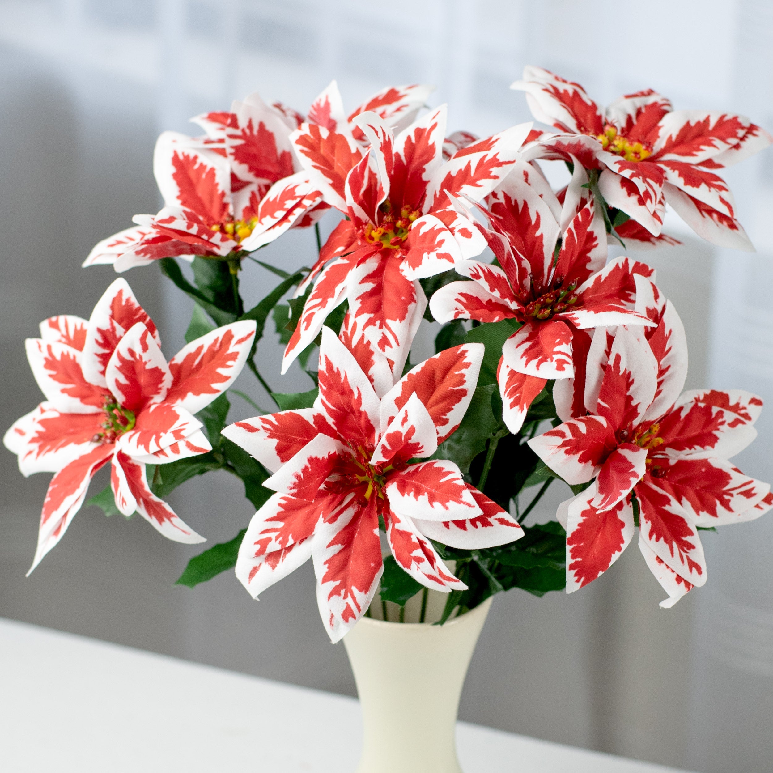 Peppermint Poinsettia Bush (9 Stem)