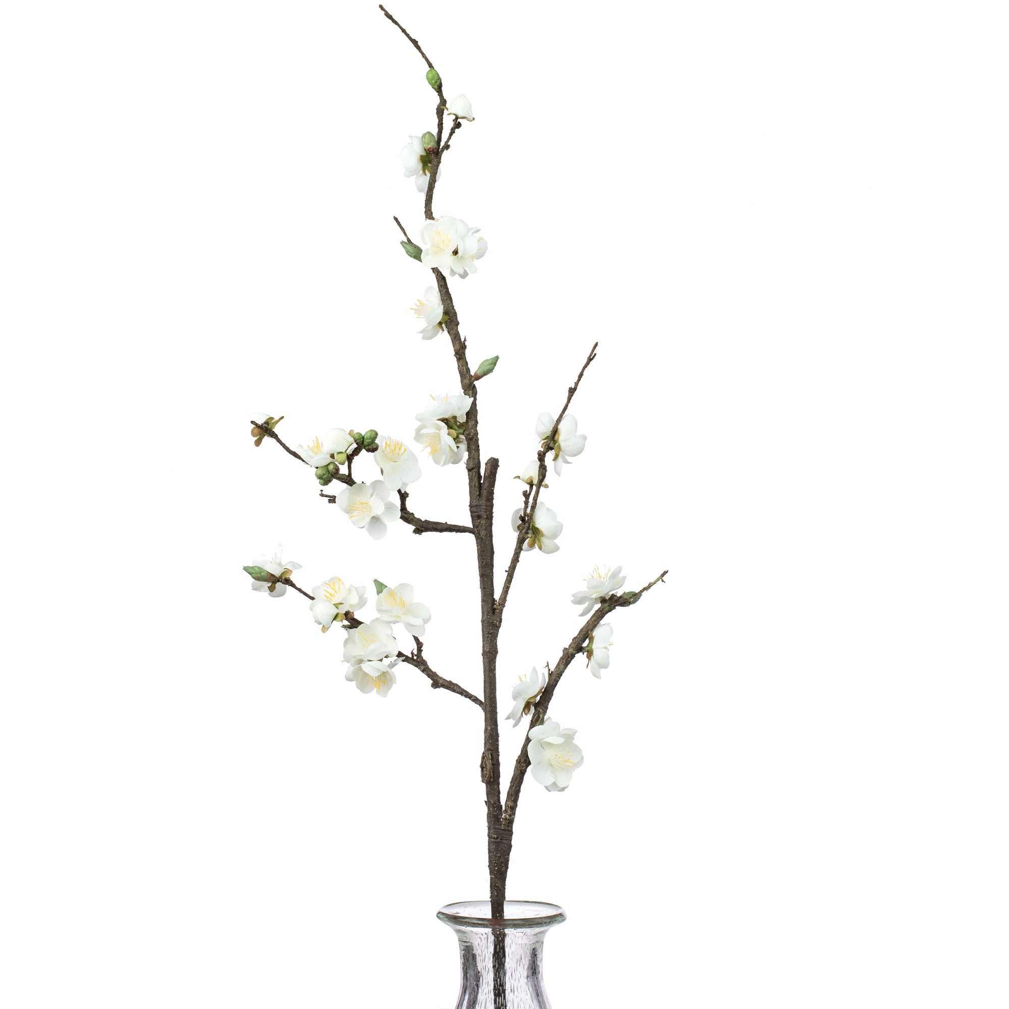 41" Plum Blossom Branch: Cream