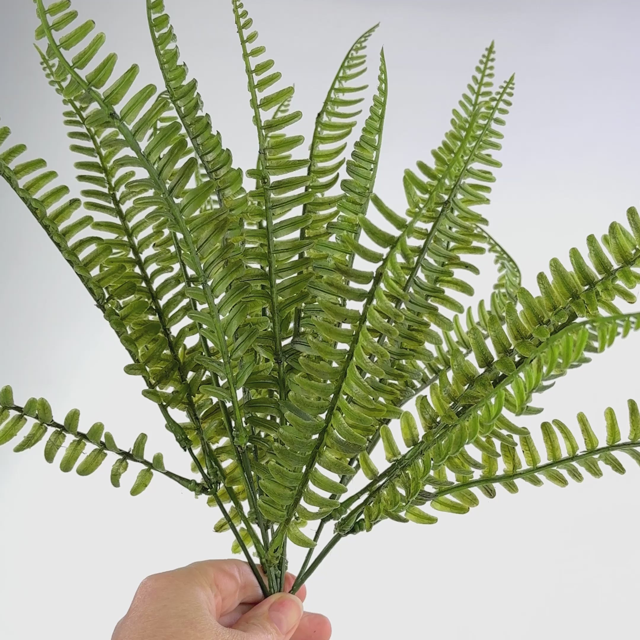 17" Plastic Fern Fronds Bush (7 Stem)