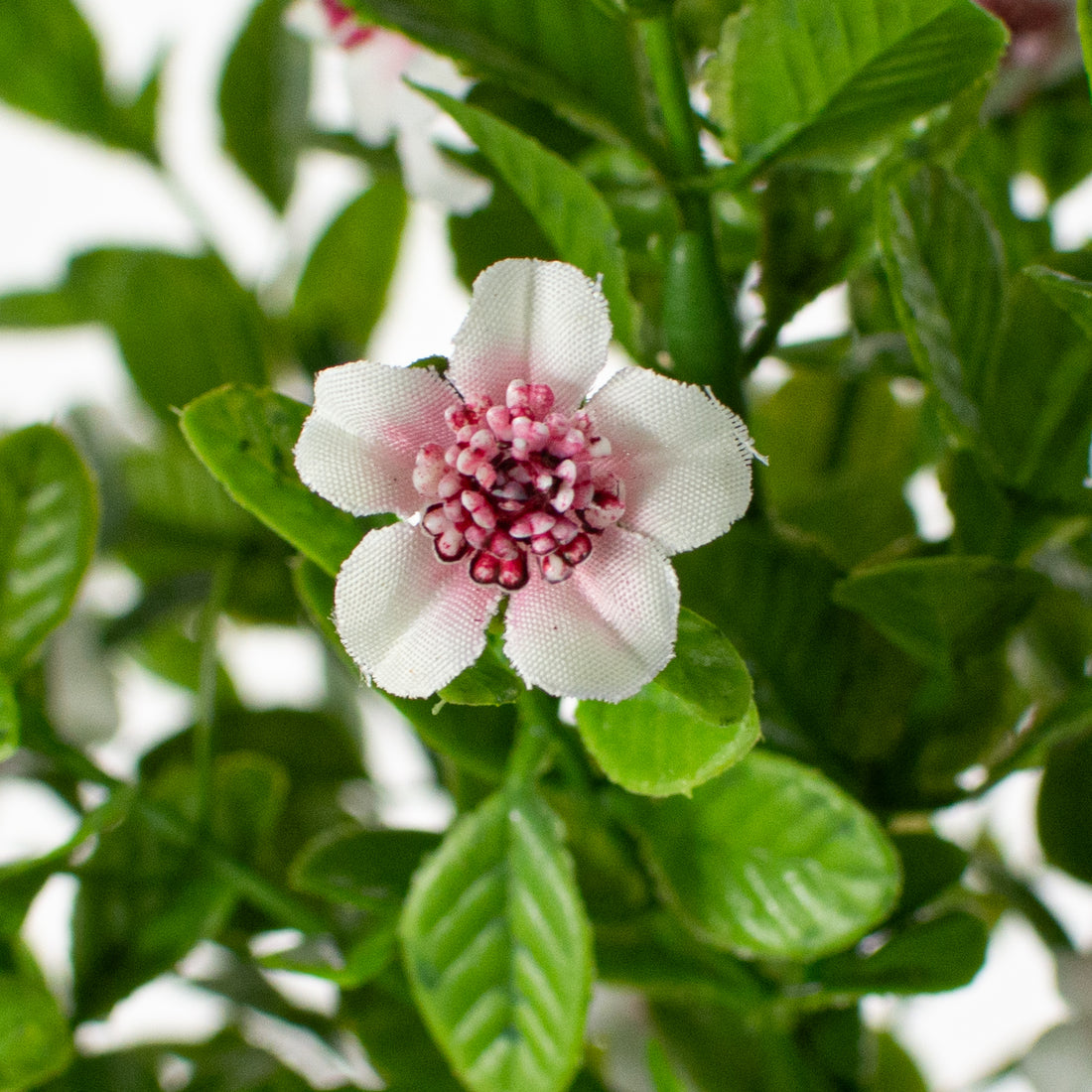 17" Small Flower Filler Bush: Pink