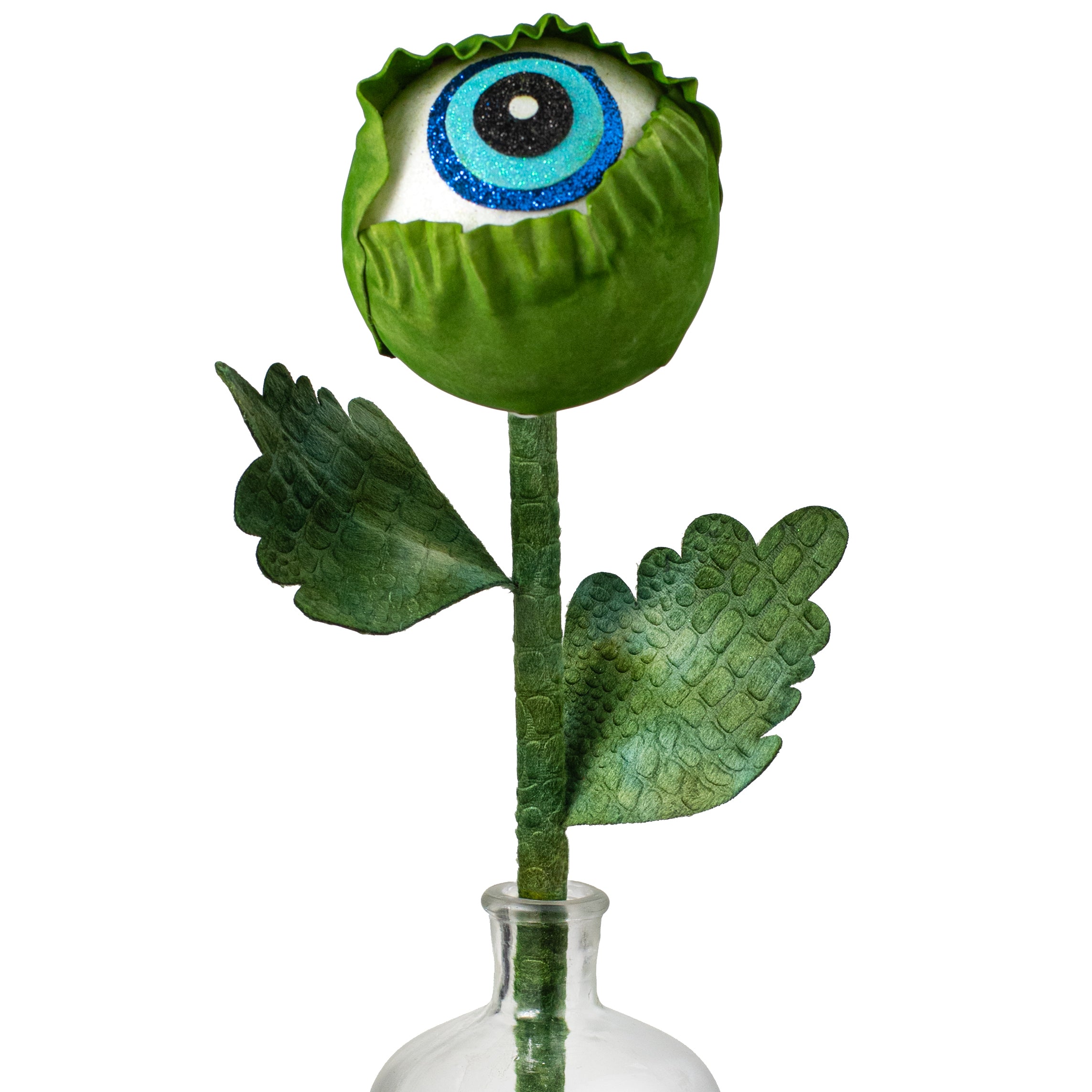 Carnivorous Plants & Venus Flytraps